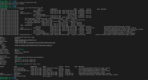 Argocd Cli Configuration And Usage