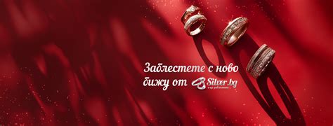 Silver Space ვერცხლის ონლაინ მაღაზია პარაბია ვერცხლი 925 ფასი 200 ლ