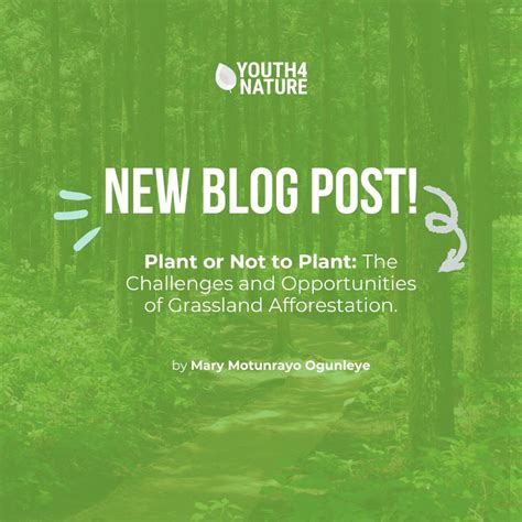 Ogunleye Mary Motunrayo On Linkedin Y4n Forestecosystemservices