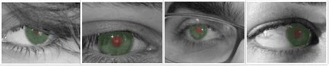 Non‐ideal Iris Segmented Images Download Scientific Diagram