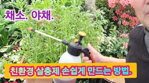 화분 및 텃밭에 심어 놓은 채소 이걸 뿌려보세요 벌레없이 쑥쑥 잘 자랍니다 Youtube