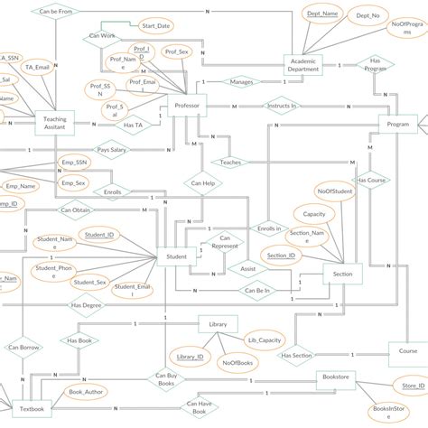 University Management System Er Diagram Shows All The For Er Diagram University Management