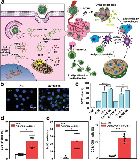 A Illustration Of Nanoscale Coordination Polymeric Core‐shell