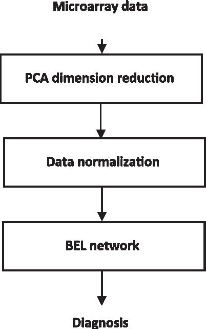 Figure 1 From Gene Expression Microarray Classification Using Pca Bel