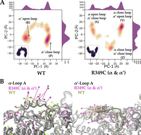 Principal Component Analysis PCA Provides More Insights Into The Download Scientific Diagram