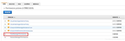 亚马逊云：使用ssm集群管理cloudwatch Agent，在ec2收集内存、磁盘性能及日志 创建 Fleet Manager 权限 Csdn博客