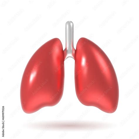 Human Lungs 3d Minimalistic Glossy Style Front View With Trachea