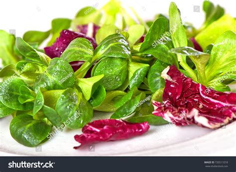 9742 Imágenes De Fancy Vegetable Plating Imágenes Fotos Y Vectores De Stock Shutterstock