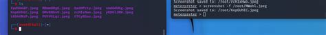 Solved I Am Using An Exploit For Ethical Hacking Purposes On