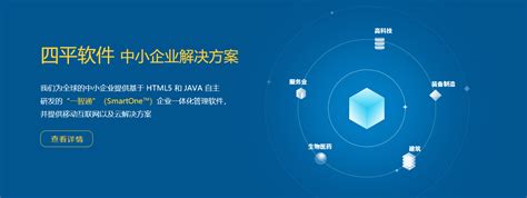 成都四平软件有限公司 Sap软件解决方案 中小企业信息化解决方案 智慧城市 智能政务