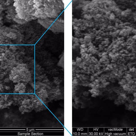 sem morphology of zno sio2 xanthan nc at 5 and 3 μm the white box on