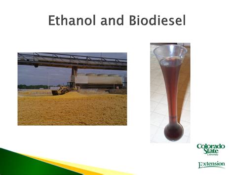 Switchgrass Ethanol Vs Corn At James Rayl Blog