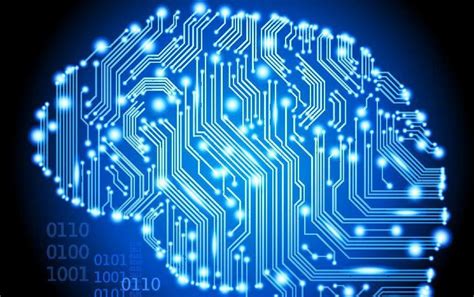 Computational Neuroscience And Ai Research In Sussex Neuroscience