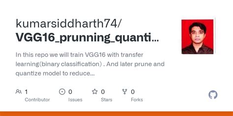 Github Kumarsiddharth74vgg16prunningquantization In This Repo We