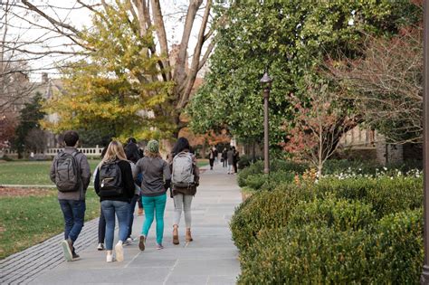 Stem 🌟 Applications Now Open 🌟 Are You A College Student Exploring