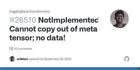 NotImplementedError Cannot Copy Out Of Meta Tensor No Data Issue Huggingface