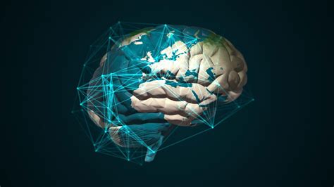 The Brain May Move Between Related Ideas In The Same Way It Navigates From One Location To Another