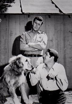 48 Andy Griffith Show Ideas Andy Griffith The Andy Griffith Show Andy