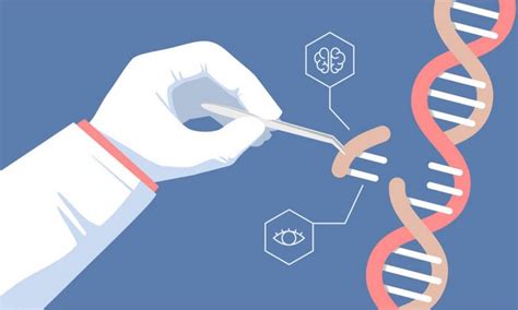 The Pros And Cons Of Genetically Engineering Humans