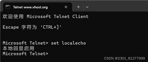 Telnet命令连接 显示无效指令 未开启本地回显原因解决方法telnet无效指令 Csdn博客