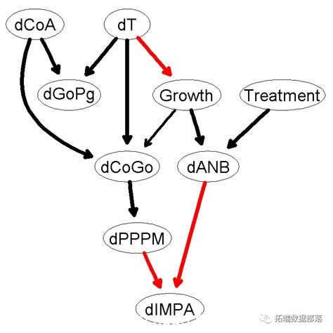 课程视频r语言bnlearn包:贝叶斯网络的构造及参数学习的原理和实例中 阿里云开发者社区 课程视频r语言bnlearn包:贝叶斯网络的构造及参数学习的原理和实例中 阿里云开发者社区