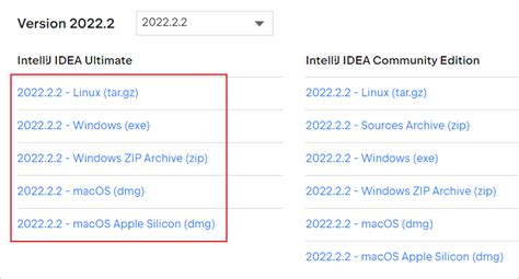 intellij idea 2022 2 2永久激活教程安装教程 亲测有效，持续更新 码霸霸