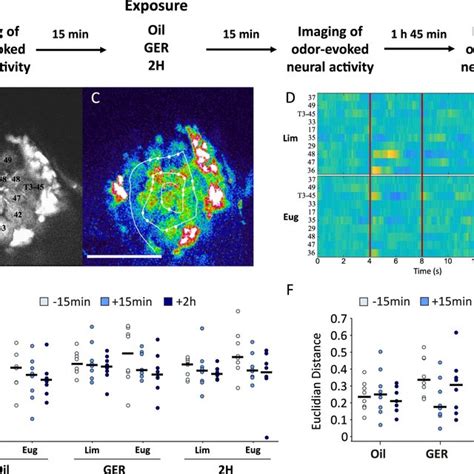Pheromone Components Modulate Associative Olfactory Learning And Memory Download Scientific