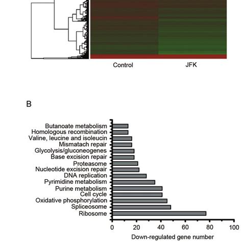 Functional Classification And Pathway Analysis Of Differentially