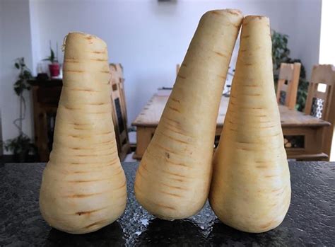 Parsnip Fries Recipe Cuisine Fiend Parsnip Fries Recipe Cuisine Fiend