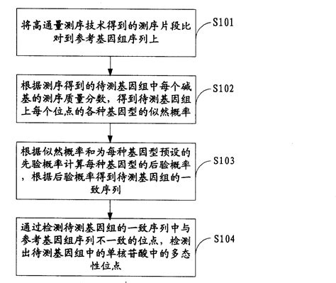 Method For Detecting Mononucleotide Polymorphism Eureka Patsnap