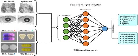 2 a neural network based biometric recognition system and a pill