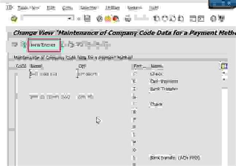 Automatic Payment Program In Sap