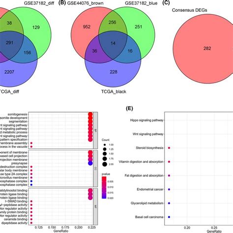 constructions of wgcna modules and module‐trait correlations a the