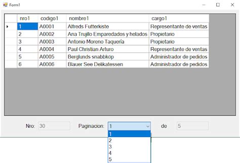 VaidrollTeam PAGINACIÓN EN UN DATAGRIDVIEW EN C VISUAL STUDIO