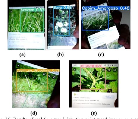 Figure 16 From Real Time Weed Detection Using Computer Vision And Deep