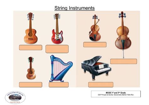 String Instruments With Names