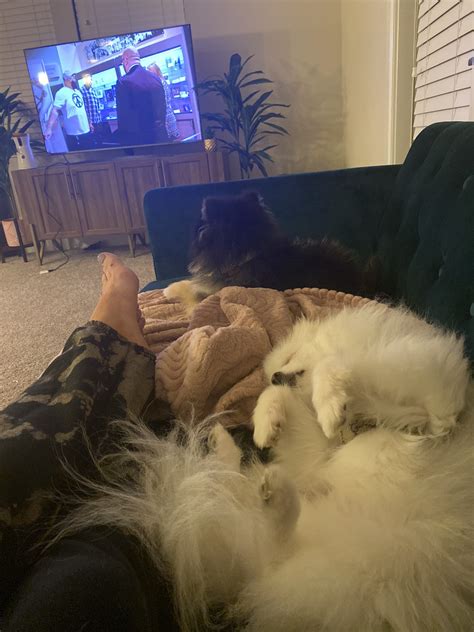 Taya Valkyries Feet