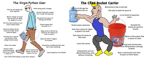 virgin python user vs chad bucket carrier r aquariummemes