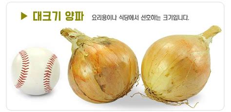 언니네텃밭 텃밭과 꾸러미로 바꾸는 세상 무안 저장 양파