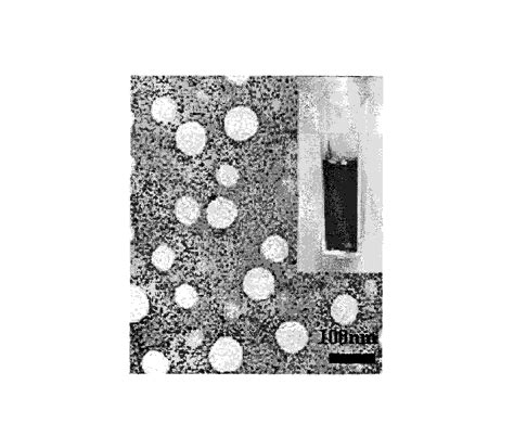 nanometer medicine particle preparation method and application thereof