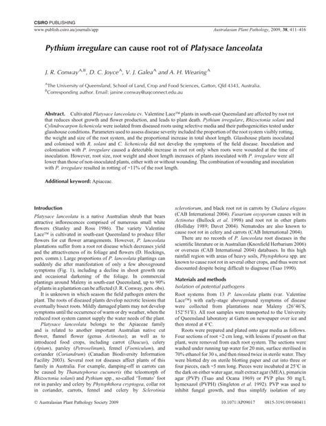 Pdf Pythium Irregulare Can Cause Root Rot Of Platysace Lanceolata