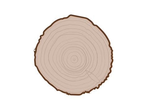 Page 3 Tree Top View PNGs For Free Download Page 3 Tree Top View PNGs For Free Download