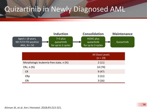 Taking A Personalized Approach To Aml Treatment Flt3 Inhibition Ppt