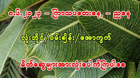 ကြာသပတေးနေ့ ညနေ အတွက် လုံးဘိုင် ဝမ်းချိန်း အောကွက် 2dlive 2d