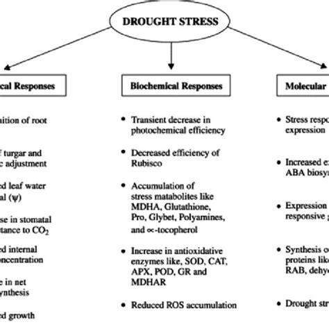 Pdf Qtl Mapping For Drought Stress Tolerance In Plants
