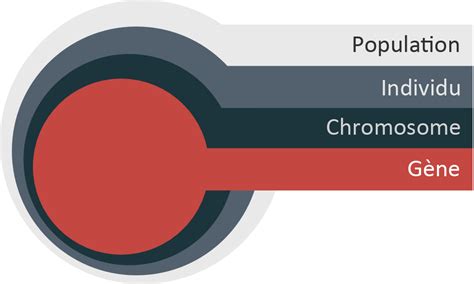 Algorithmes Génétiques