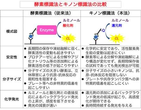 長崎大学 研究情報サイト｜黒田 直敬・岸川 直哉｜非酵素的化学発光イムノアッセイのためのキノン標識抗体