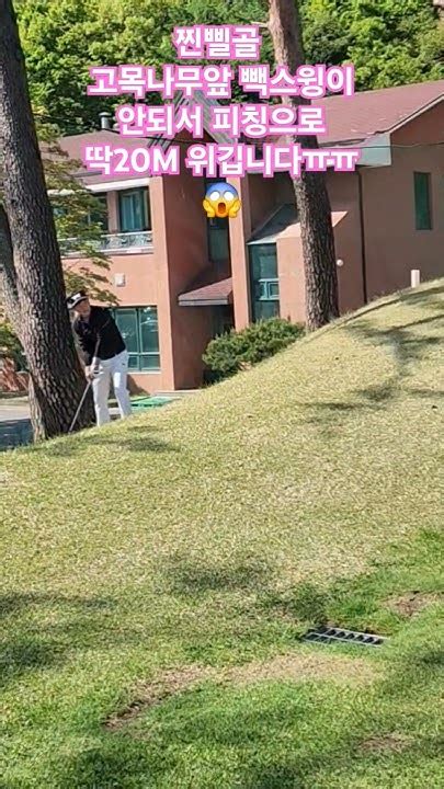 찐삘골☆빽스윙이🐕😭🐎⛳️😱 골프레슨 아이언레슨 필드레슨 골프 골프존 퍼터 퍼팅 퍼터레슨 퍼팅레슨 비거리레슨 드로우샷 페이드샷