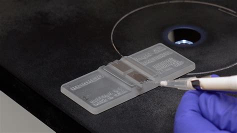 Video Tumor Cells Inoculation In Mice Through Precise Landmarking And Injection Techniques