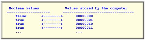 Encoding The Boolean Values Inside A Computer Program DEMO